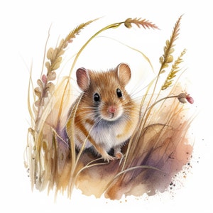 Field Mouse Watercolor PNG Clipart, Mouse Portrait PNG Watercolour ...