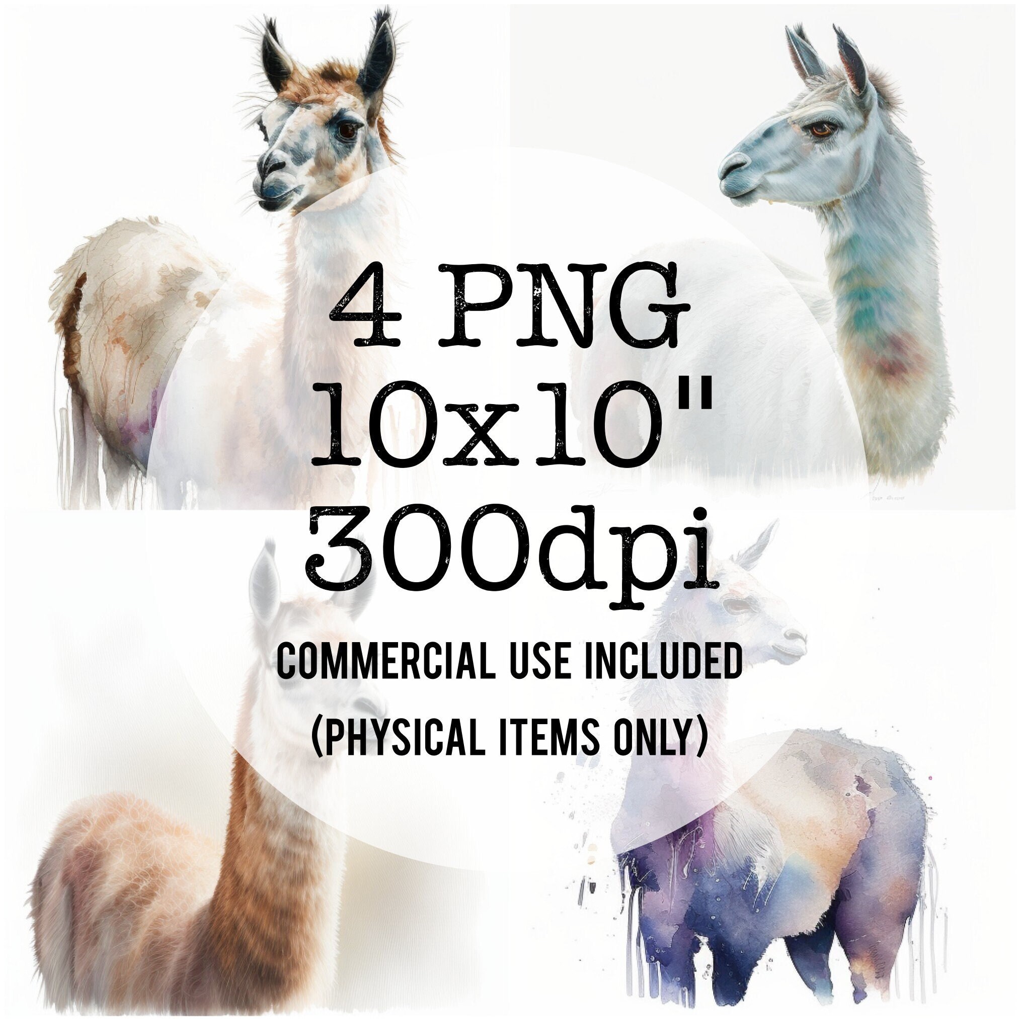 Watercolor Llama Portrait PNG Clipart: Commercial Use (digital Download ...