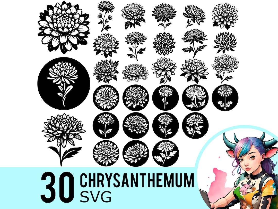 Chrysanthemum SVG Clipart, Chrysanths Silhouette, November Mums Flower ...
