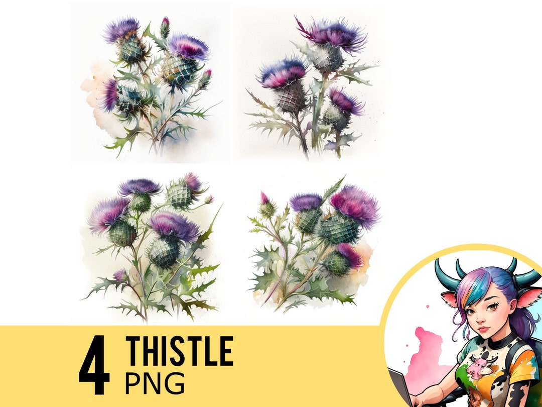 Watercolor Thistle Flower Clipart: 4 PNG Images (digital Download) - Etsy