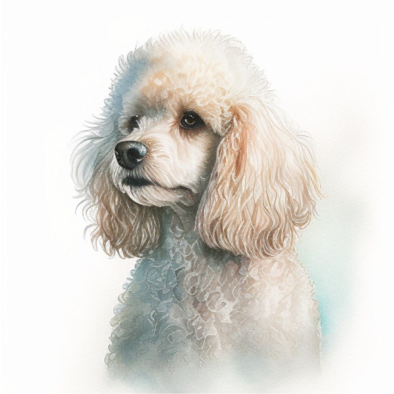 Pudel Aquarell PNG Clipart Hund Portrait PNG Aquarell - Etsy.de