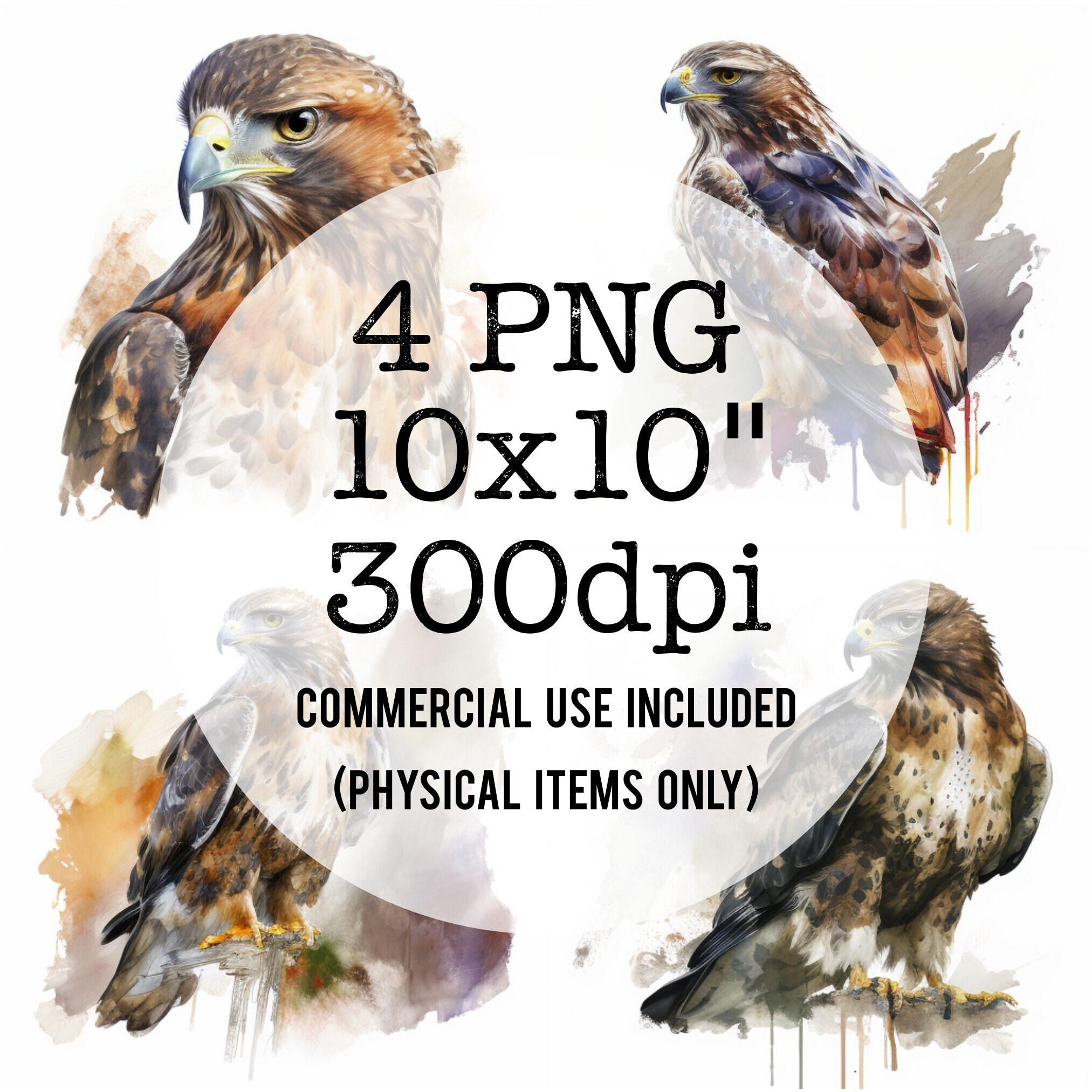 Buzzard Watercolor PNG Clipart Bird of Prey Portrait PNG - Etsy Australia