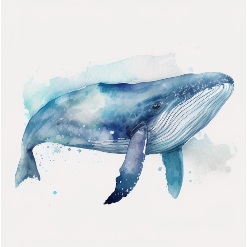 Blue Whale Watercolor PNG Clipart Whale Portrait PNG - Etsy