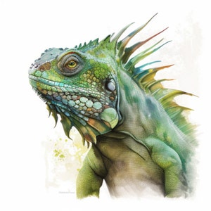 Green Iguana Watercolor PNG Clipart, Lizard Portrait PNG Watercolour ...