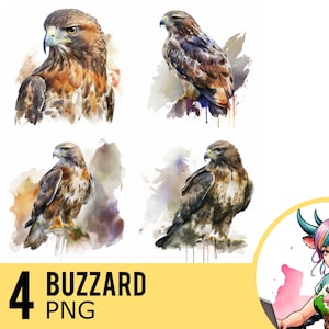 Buzzard Watercolor PNG Clipart, Bird of Prey Portrait PNG Watercolour ...