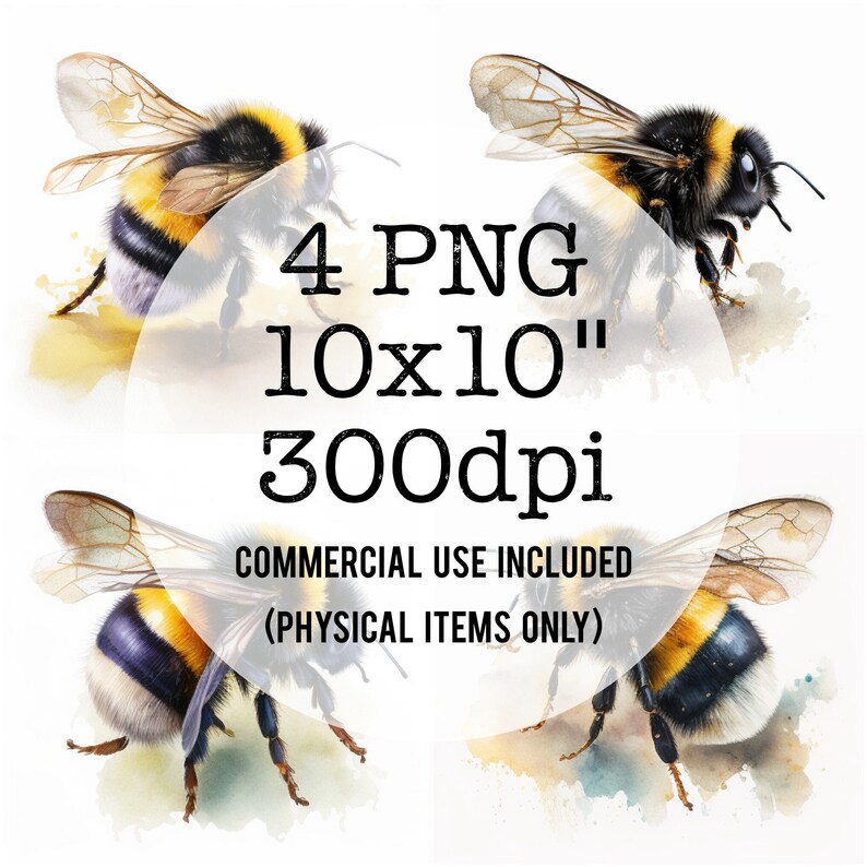 Bumblebee Watercolor PNG Clipart Honey Bee Portrait PNG - Etsy