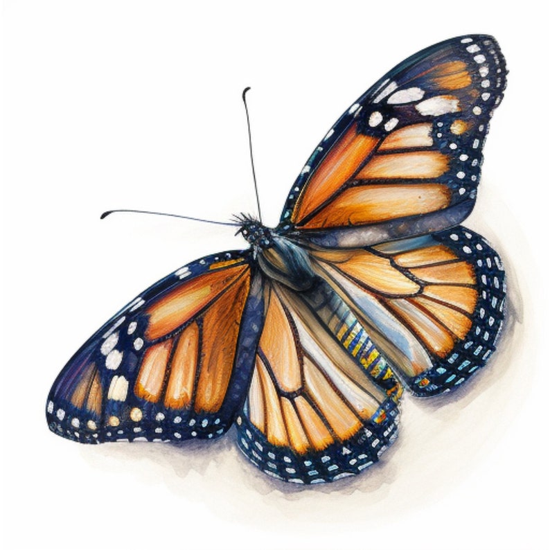 Monarch Butterfly Watercolor PNG Clipart Butterfly Portrait - Etsy