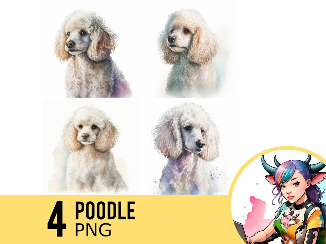Pudel Aquarell PNG Clipart, Hund Portrait PNG Aquarell, sofortiger ...