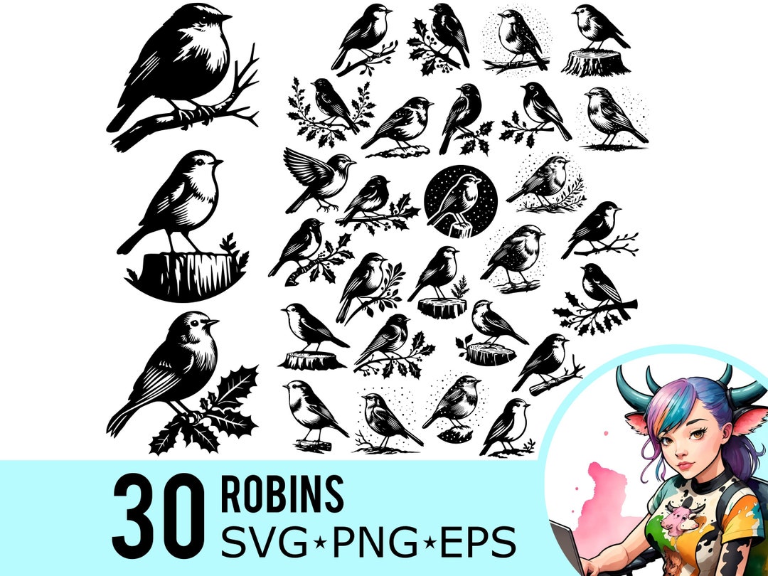 Robin SVG PNG EPS Clipart, Birds Silhouette, Christmas Holly Branch ...