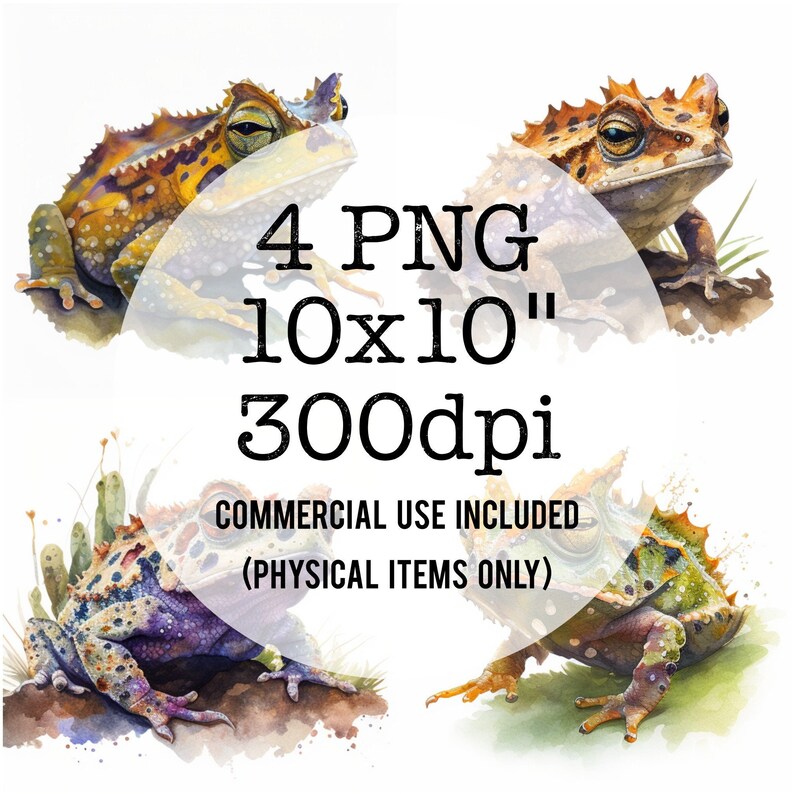 Watercolor Horned Frog Clipart: Argentine Frog Portrait 4 PNG (digital ...