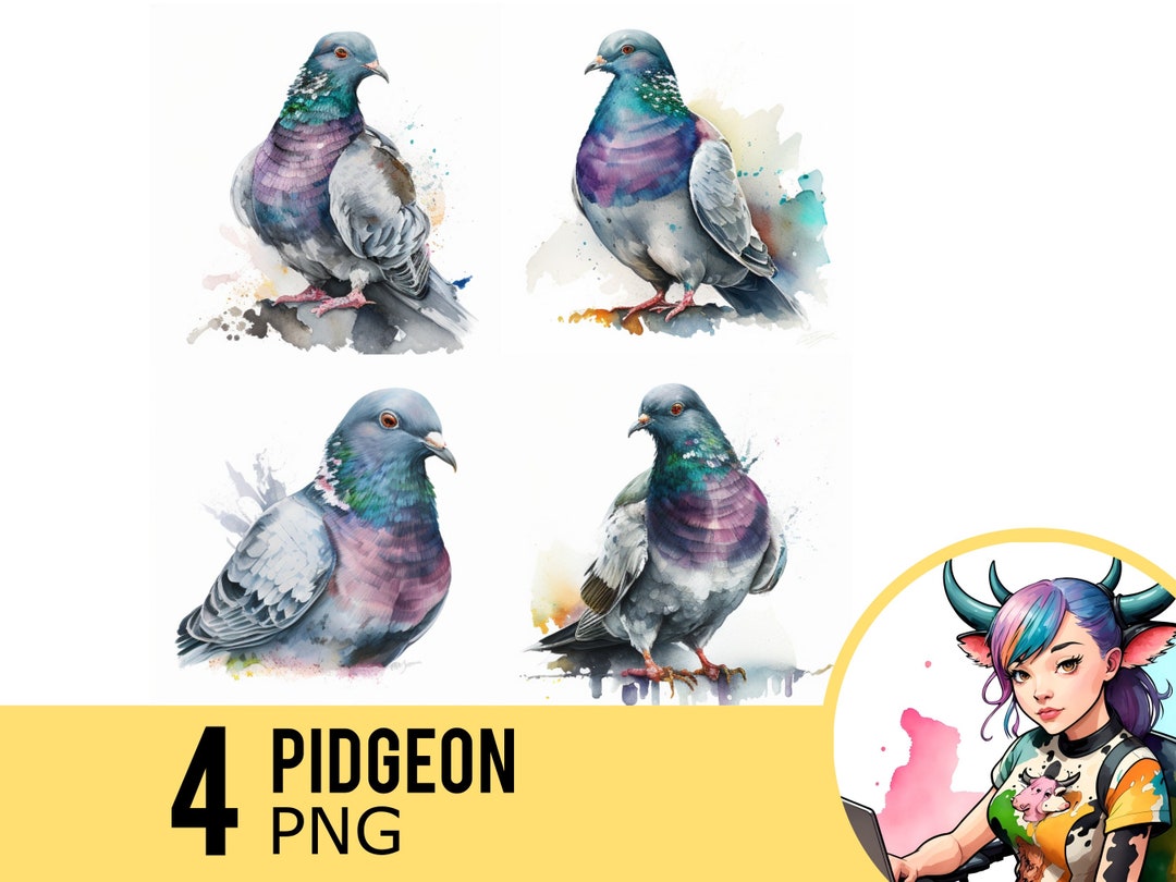 Pidgeon Watercolor PNG Clipart, Pidgeon Bird Portrait PNG Watercolour ...