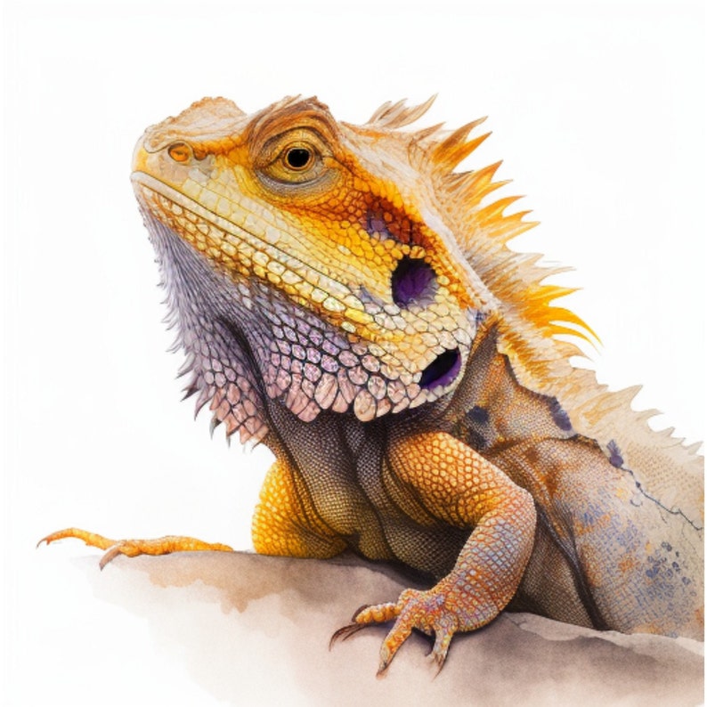 Bearded Dragon Watercolor PNG Clipart Lizard Portrait PNG - Etsy