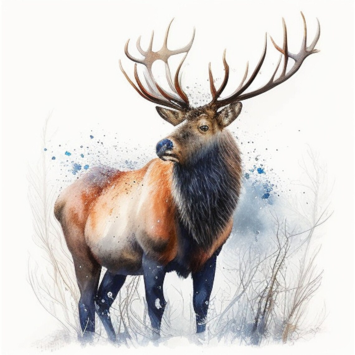 Elk Watercolor PNG Clipart Deer Portrait PNG Watercolour - Etsy