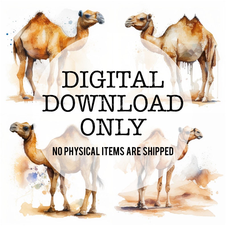 Camel Watercolor PNG Clipart Camel Portrait PNG Watercolour - Etsy