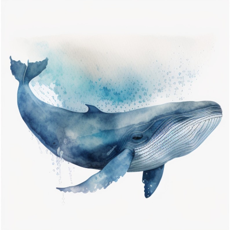 Blue Whale Watercolor PNG Clipart Whale Portrait PNG - Etsy