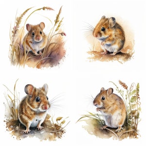 Field Mouse Watercolor PNG Clipart, Mouse Portrait PNG Watercolour ...