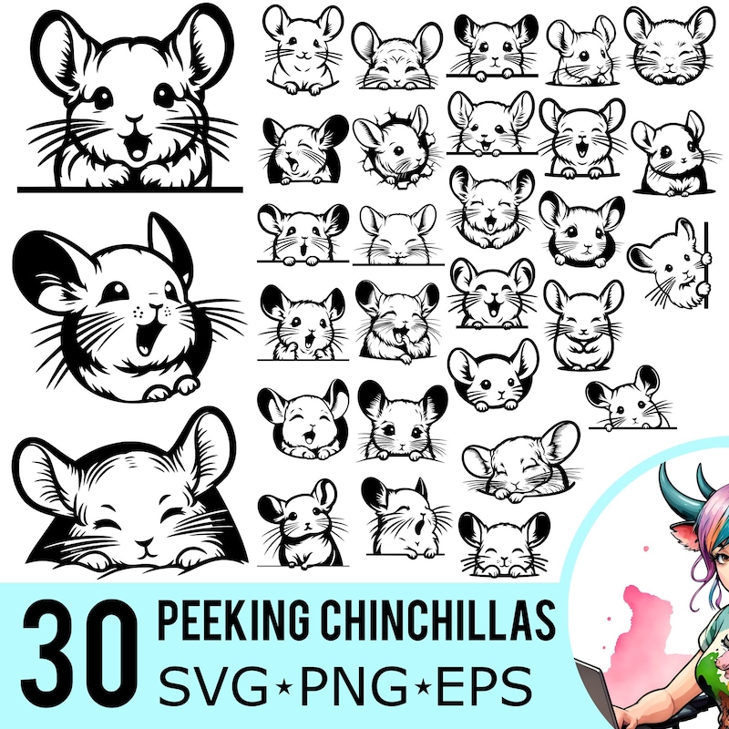 Chinchilla Art - Etsy