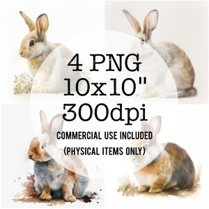 Rabbit Watercolor PNG Clipart, Bunny Portrait Watercolour PNG Clipart ...