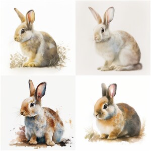 Rabbit Watercolor PNG Clipart, Bunny Portrait Watercolour PNG Clipart ...