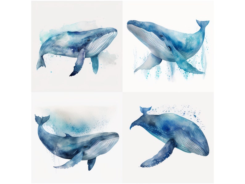 Blue Whale Watercolor PNG Clipart Whale Portrait PNG - Etsy