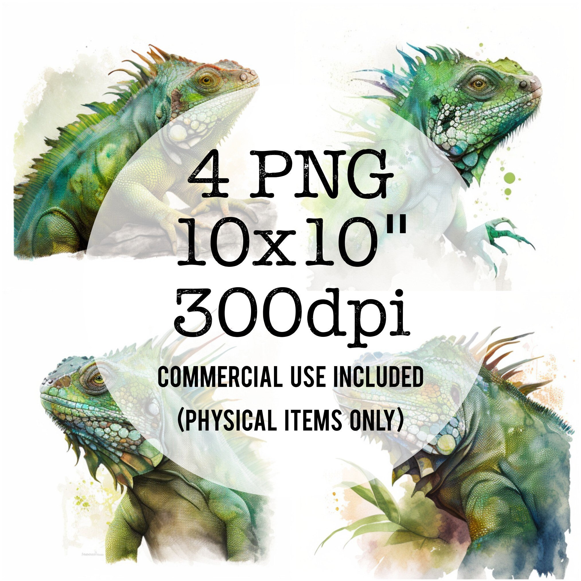 Green Iguana Watercolor PNG Clipart Lizard Portrait PNG - Etsy