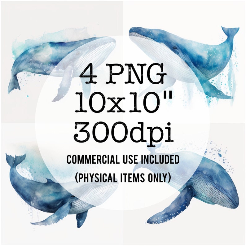 Blue Whale Watercolor PNG Clipart Whale Portrait PNG - Etsy