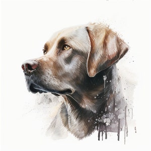 Labrador Retriever Watercolor PNG Clipart, Dog Portrait PNG Watercolour ...