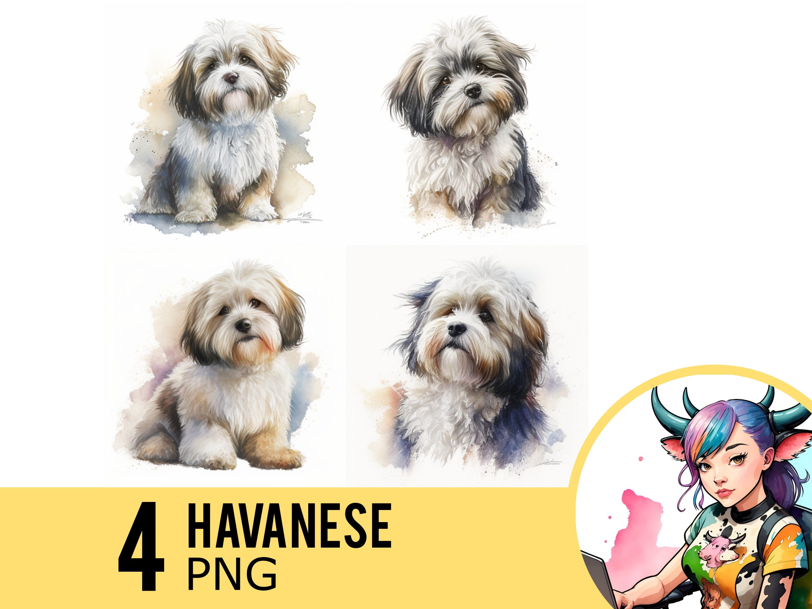 Havanese Watercolor PNG Clipart Havanese Dog Portrait PNG - Etsy