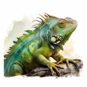 Green Iguana Watercolor Clipart: Lizard Portrait 4 PNG (commercial Use ...