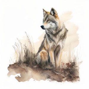 Wild Wolf Watercolor PNG Clipart, Wolf Portrait PNG Watercolour ...