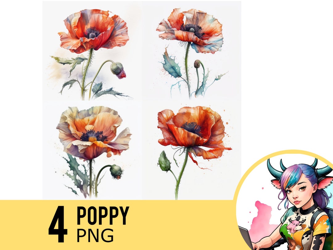 Poppy Watercolor PNG Clipart, Poppy Flower Watercolour, Instant ...