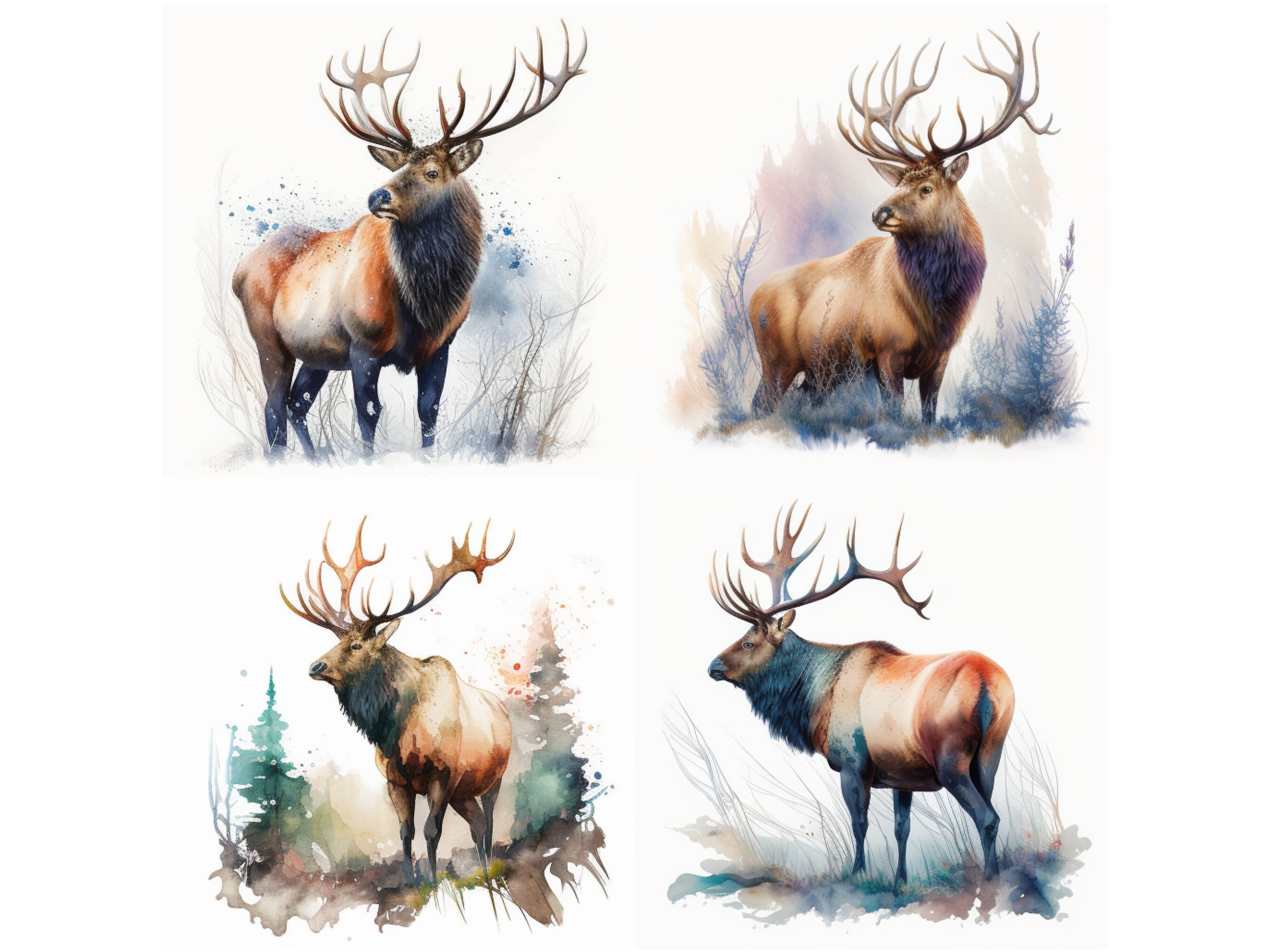 Elk Watercolor Portrait Clipart: Four PNG Images (digital Download) - Etsy