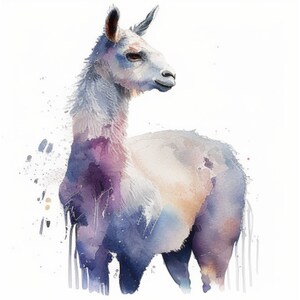 Llama Watercolor PNG Clipart, Llama Portrait PNG Watercolour, Instant ...