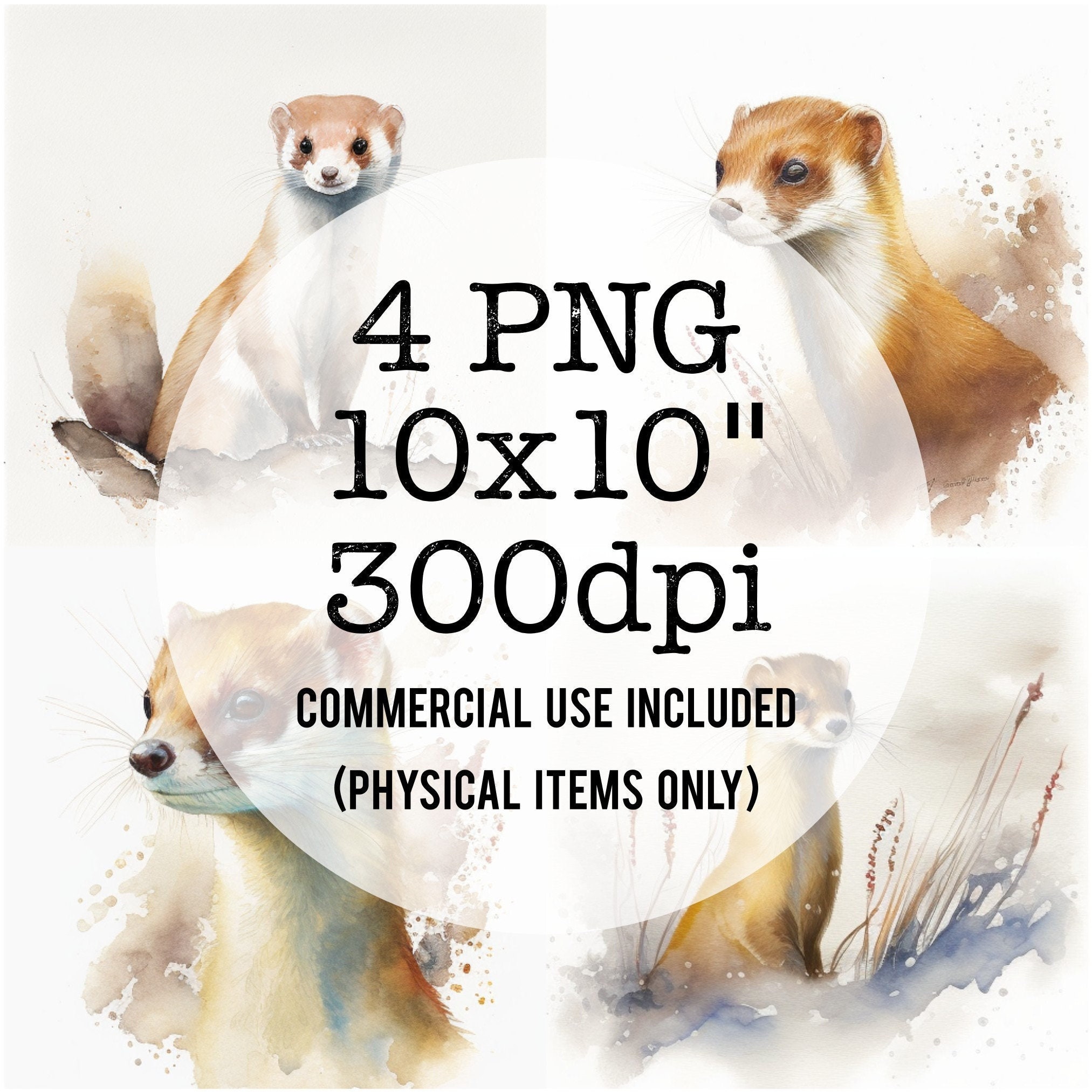 Weasel Watercolor Clipart: Four PNG Images (commercial Use) - Etsy