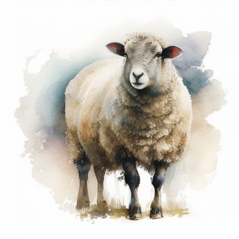 Sheep Watercolor PNG Clipart Lamb Portrait PNG Watercolour - Etsy