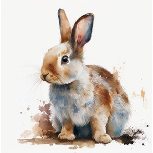 Rabbit Watercolor PNG Clipart, Bunny Portrait Watercolour PNG Clipart ...