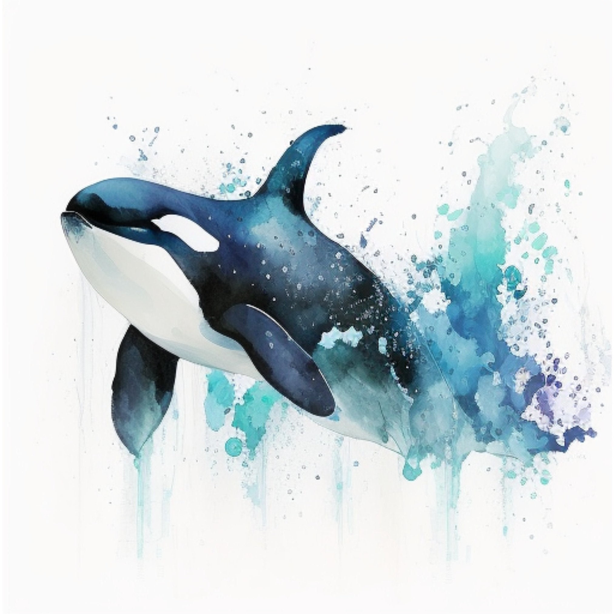 Killer Whale Watercolor PNG Clipart Whale Portrait PNG - Etsy