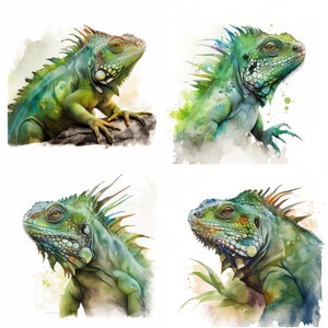 Green Iguana Watercolor PNG Clipart, Lizard Portrait PNG Watercolour ...