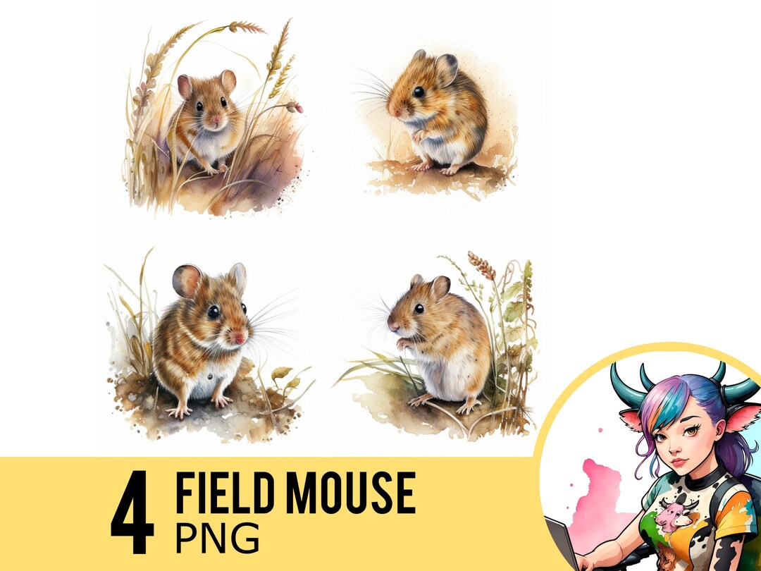 Field Mouse Watercolor PNG Clipart, Mouse Portrait PNG Watercolour ...