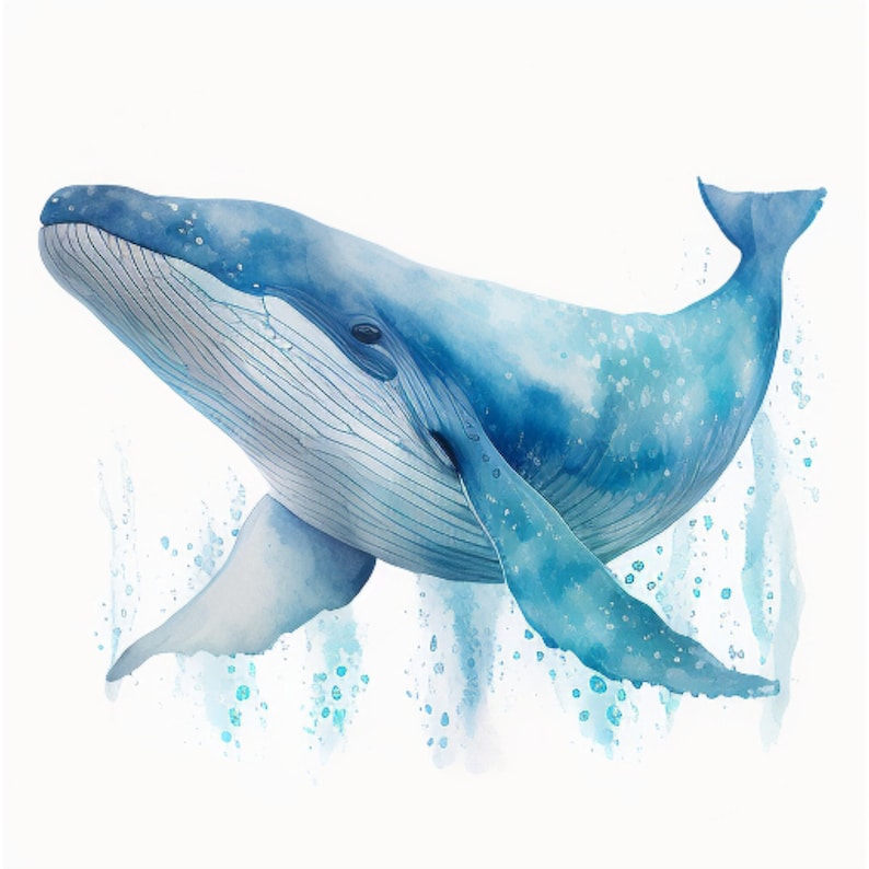 Blue Whale Watercolor PNG Clipart Whale Portrait PNG - Etsy