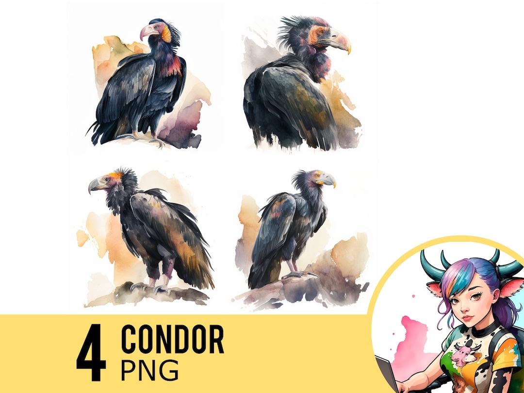 Condor Watercolor PNG Clipart, Vulture Bird Portrait PNG Watercolour ...