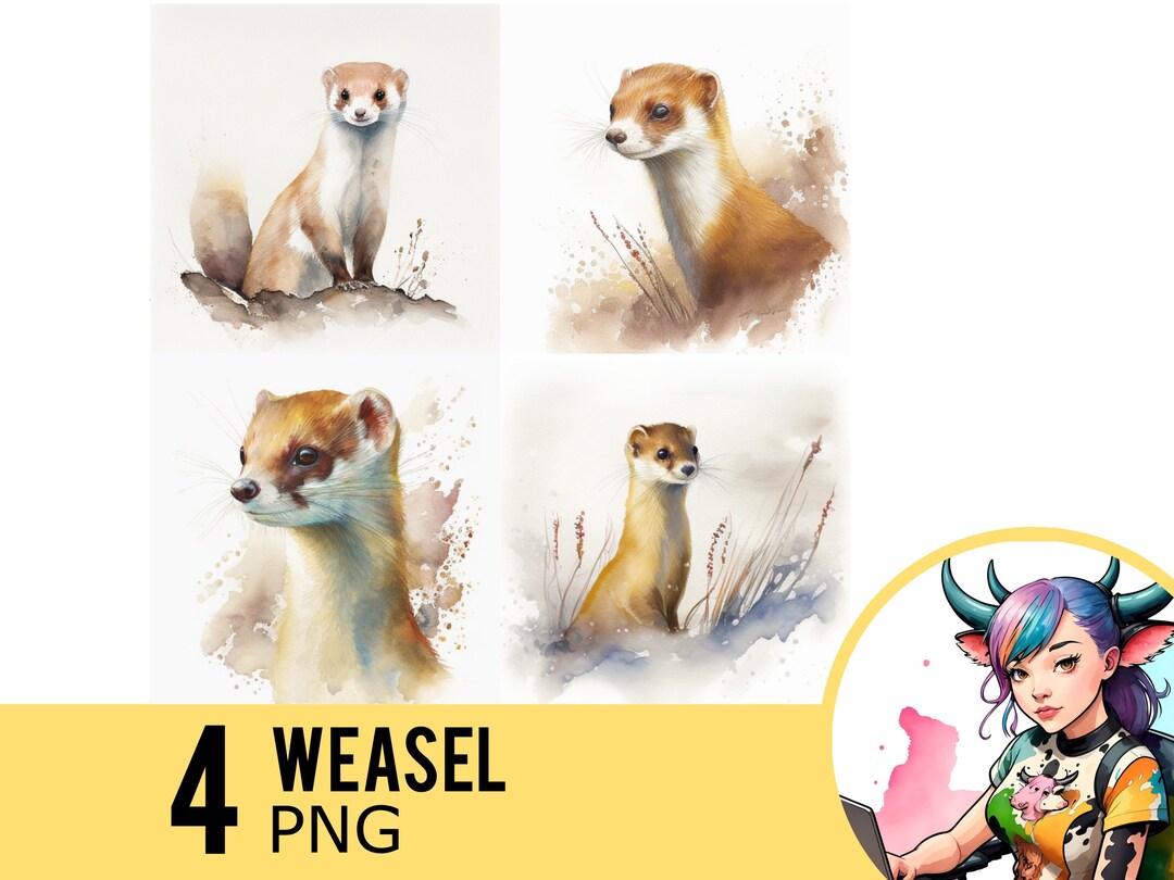 Weasel Watercolor PNG Clipart, Weasel PNG Watercolour, Instant Download ...