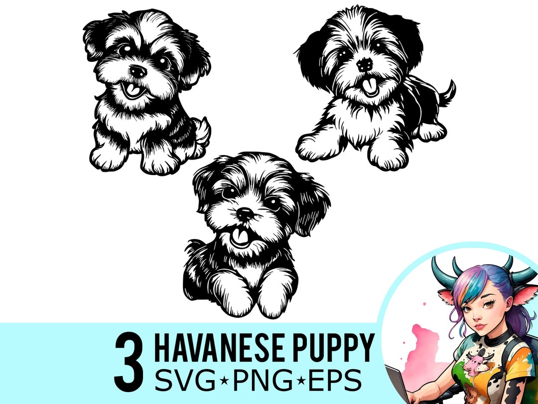Havanese Puppy SVG PNG EPS Clipart, Havanese Pup Silhouette, Havanese ...