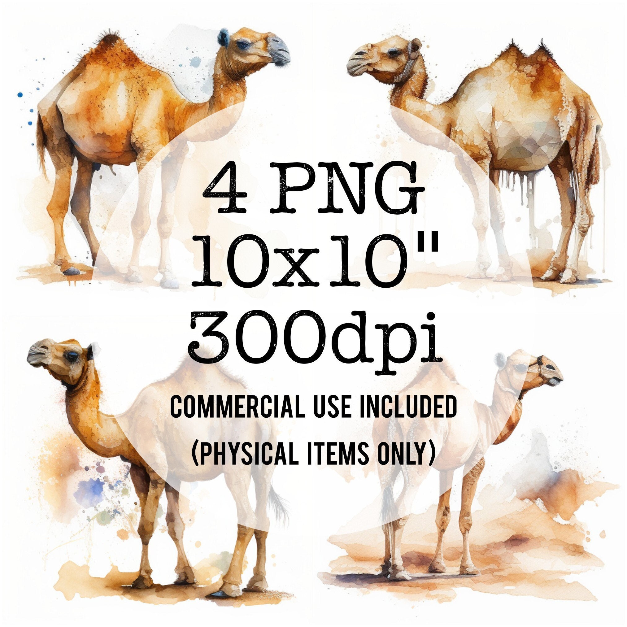 Camel Watercolor PNG Clipart Camel Portrait PNG Watercolour - Etsy