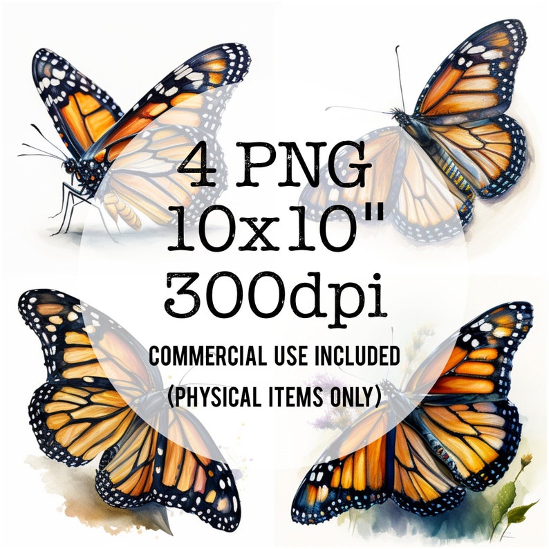 Monarch Butterfly Watercolor PNG Clipart Butterfly Portrait - Etsy