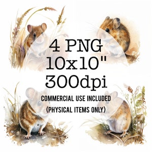 Field Mouse Watercolor PNG Clipart, Mouse Portrait PNG Watercolour ...