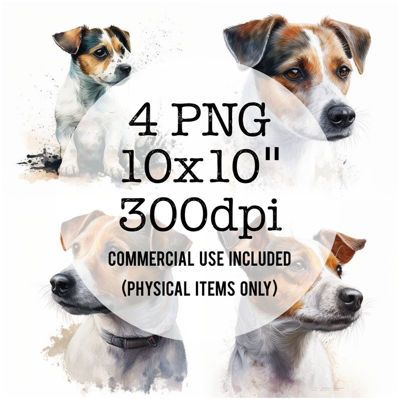 Jack Russell Watercolor PNG Clipart Terrier Dog Portrait PNG - Etsy