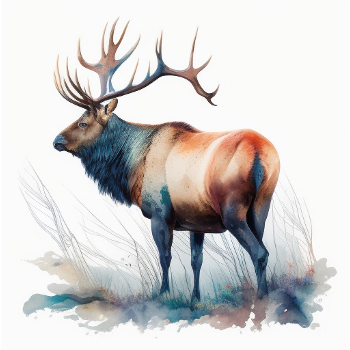 Elk Watercolor PNG Clipart Deer Portrait PNG Watercolour - Etsy
