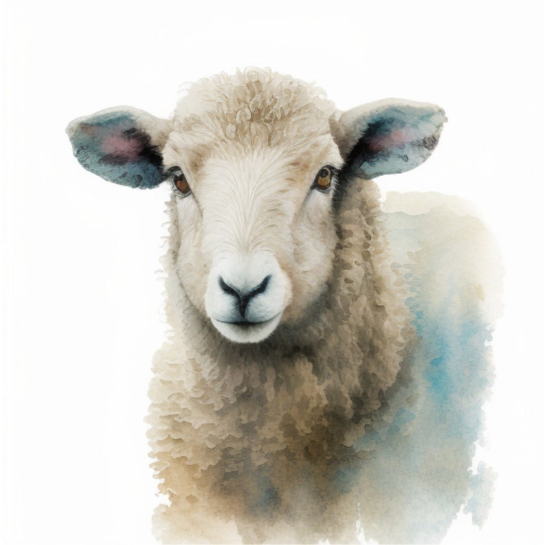 Sheep Watercolor PNG Clipart Lamb Portrait PNG Watercolour - Etsy