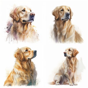 Golden Retriever Watercolor PNG Clipart, Dog Portrait PNG Watercolour ...